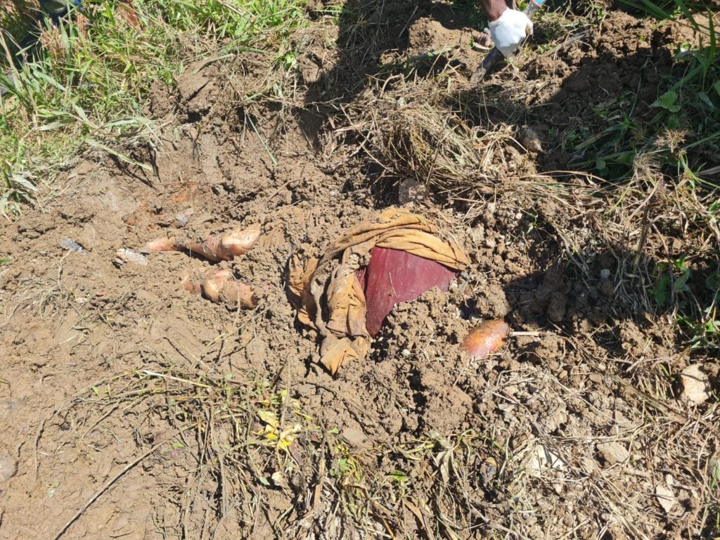 Interim President: New massacre in Intan Jaya - United Liberation ...